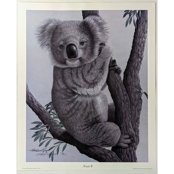 Harold Rigsby | Art | Koala Ii Harold Rigsby Limited Edition Fine Art ...